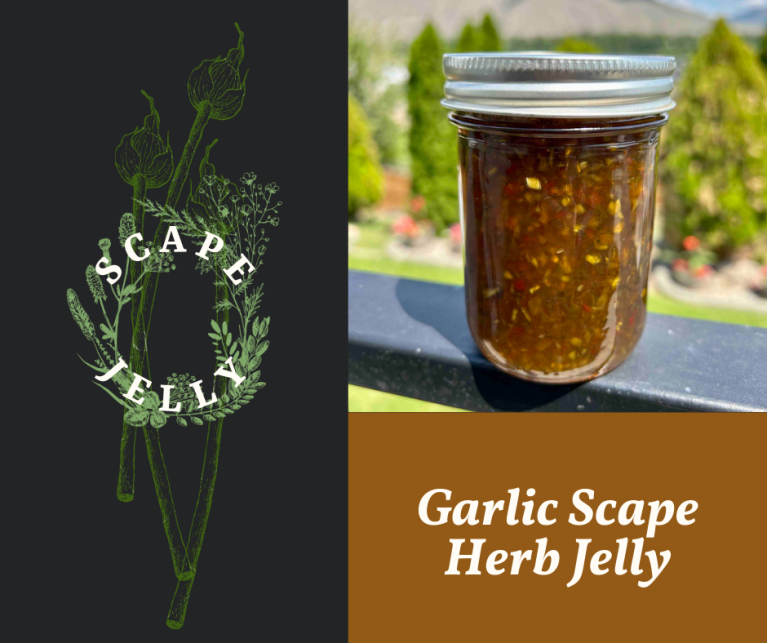 The Great Scape Jelly – JK Building The Dream